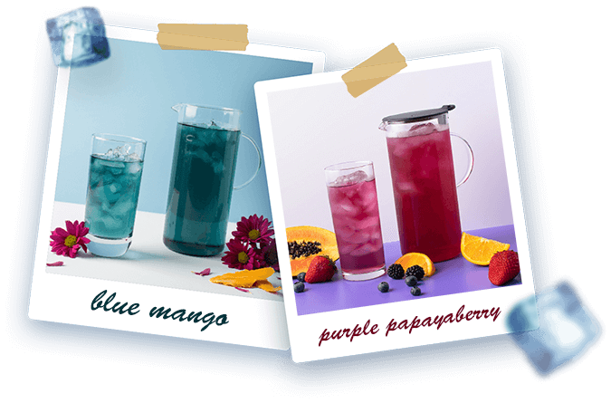 Loose Leaf Tea | Buy Online | Adagio Teas Europe